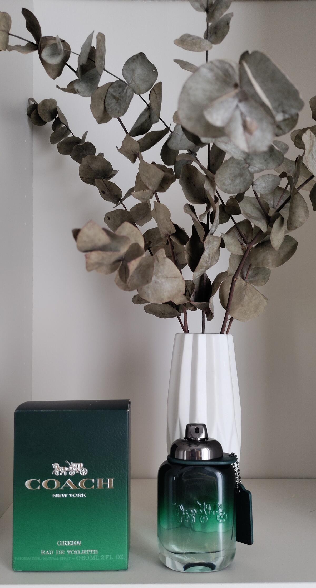 Coach Green Coach cologne - a new fragrance for men 2023