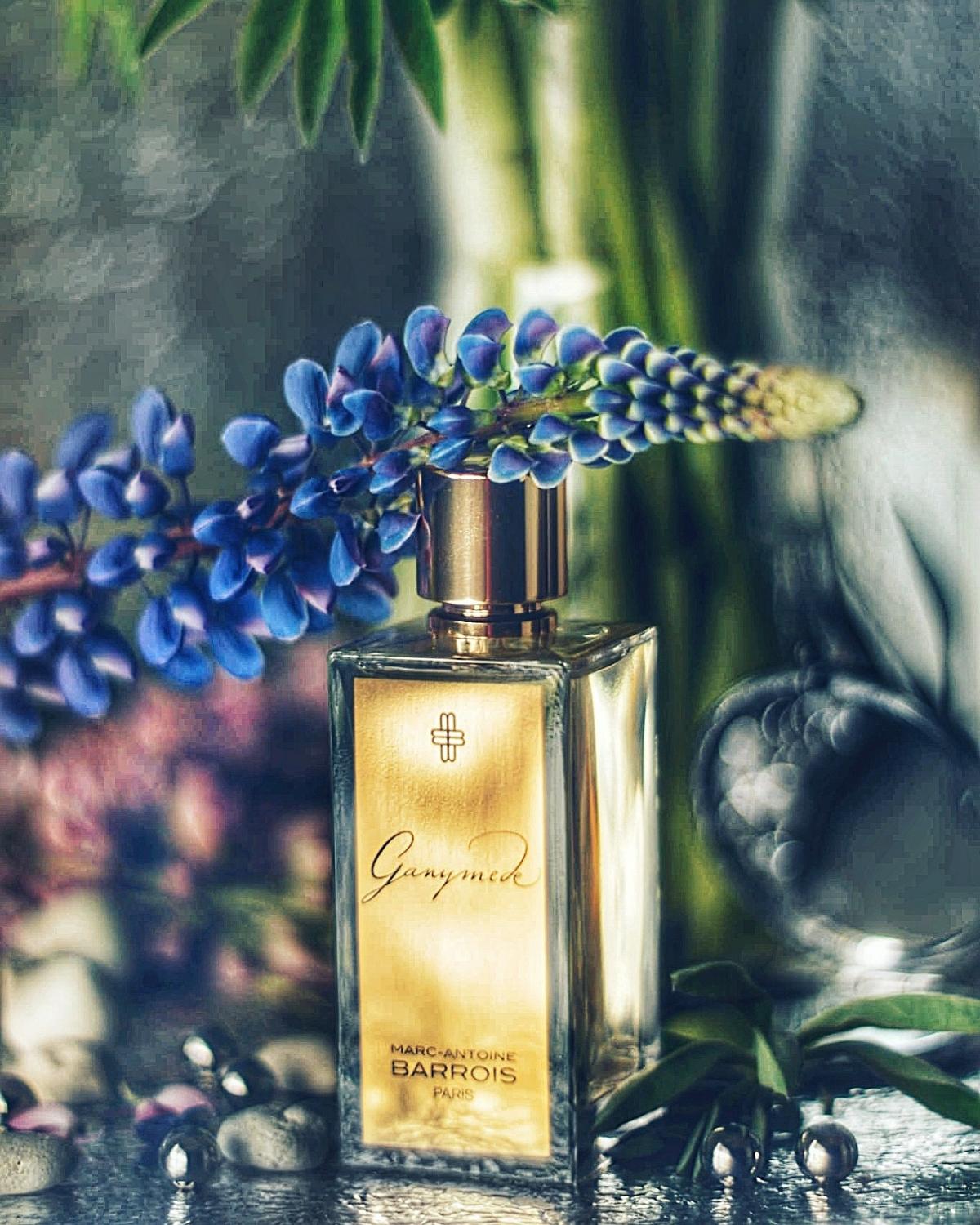 Ganymede Marc-Antoine Barrois perfume - a fragrance for women and men 2019