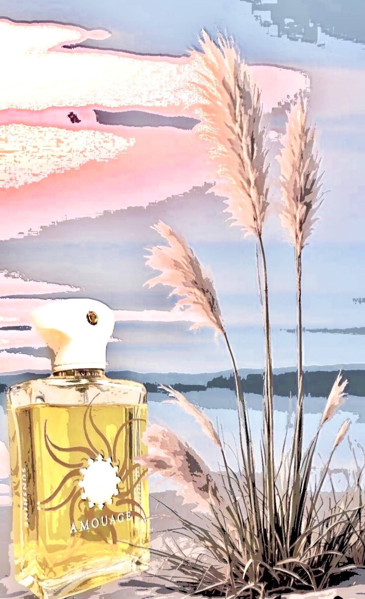 Sunshine Man Amouage cologne - a fragrance for men 2015