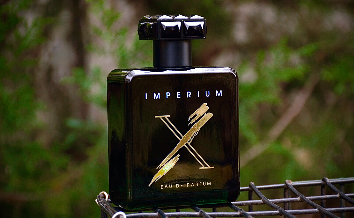 Imperium X Fragrance World perfume - a fragrance for women and men 2024