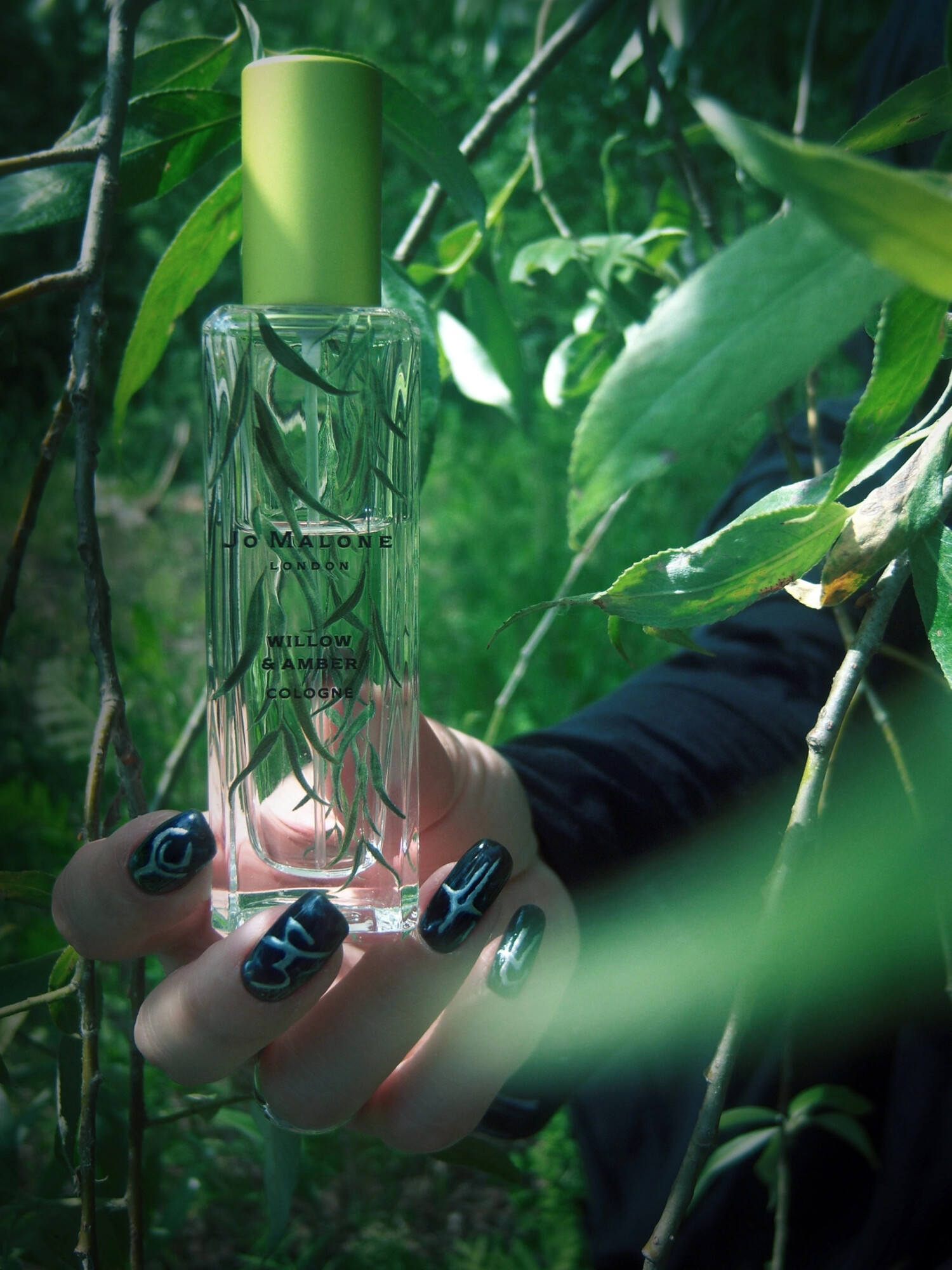 Willow & Amber Jo Malone London - una fragranza unisex 2019
