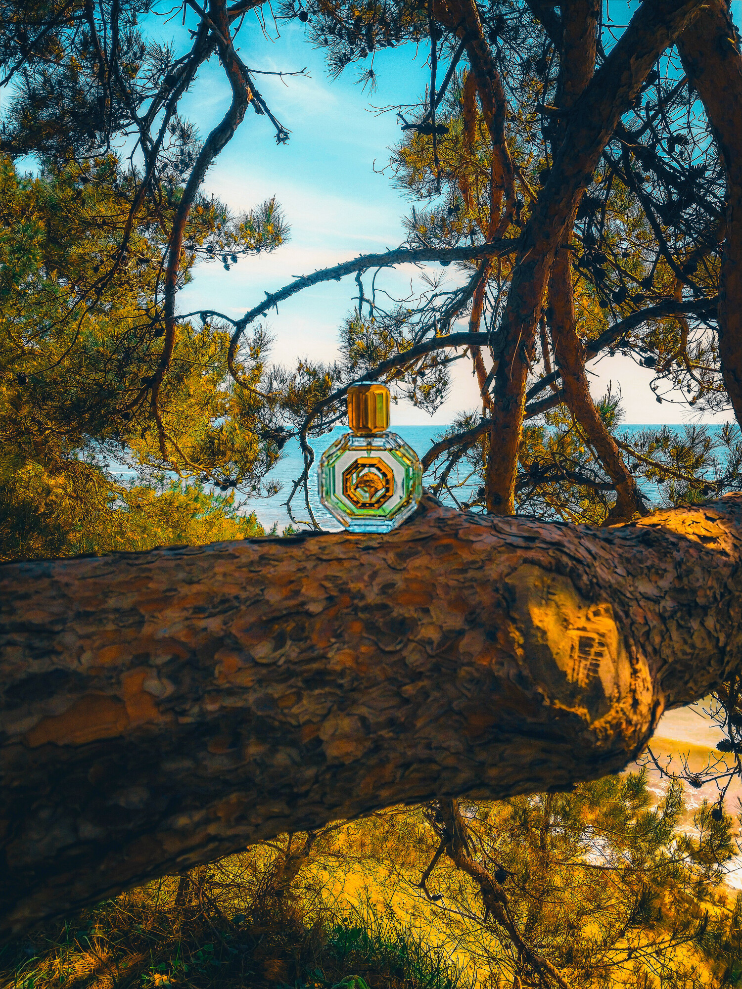 Royal Eagle Gold Stefano Ricci cologne - a fragrance for men