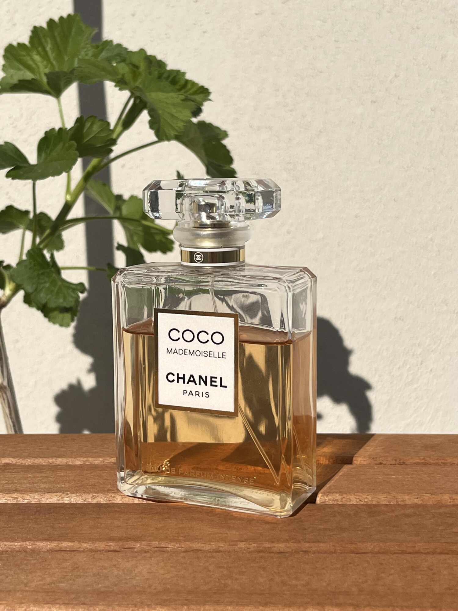 Coco Mademoiselle Intense Chanel perfume - a fragrance for women 2018