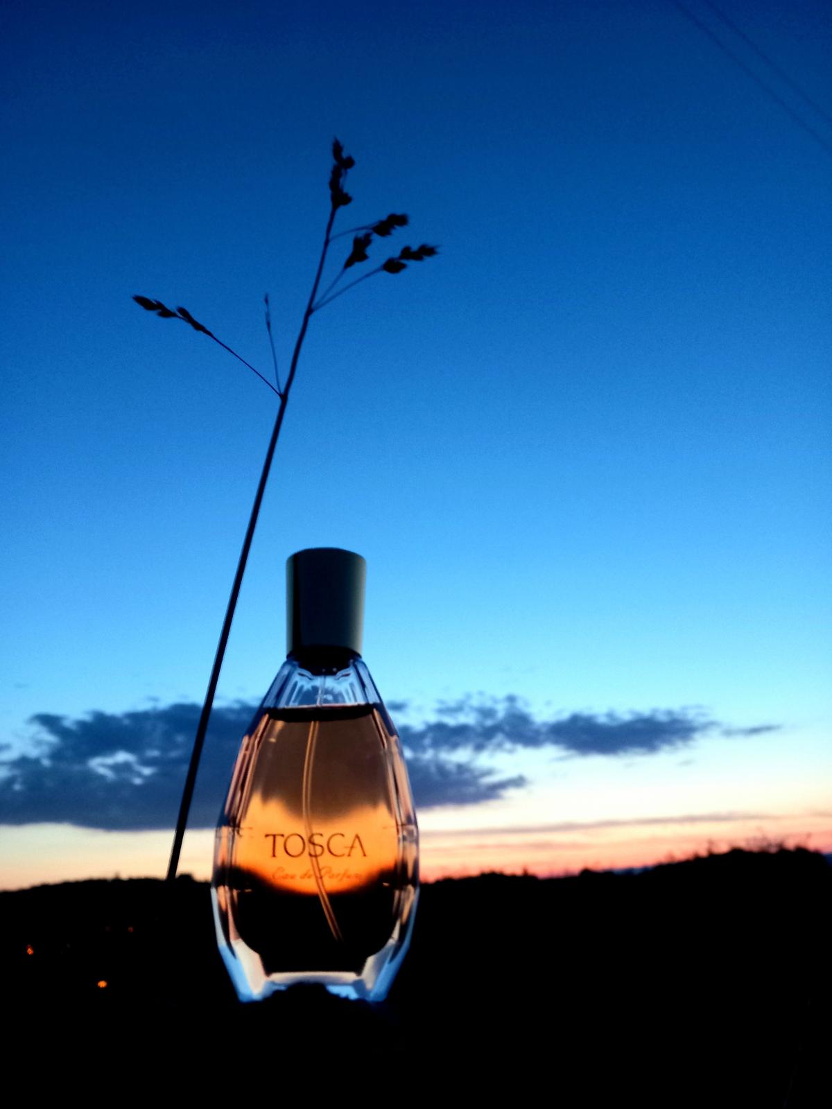 Tosca Tosca perfume - a fragrance for women 1921