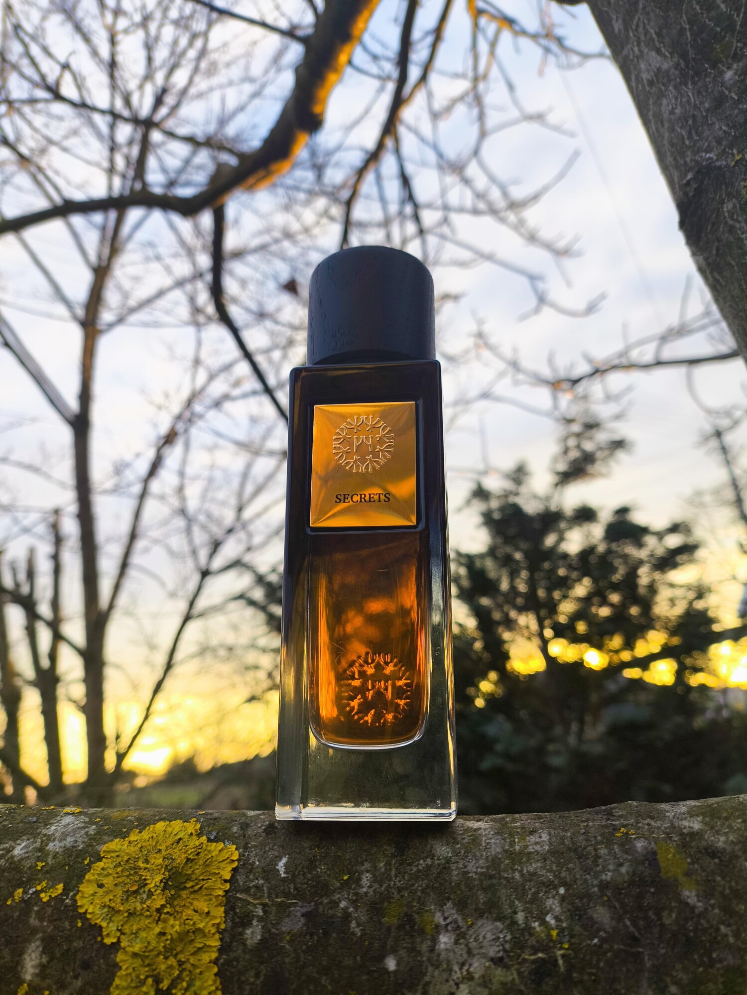 Secret The Woods Collection perfume - a fragrance for women and men 2020
