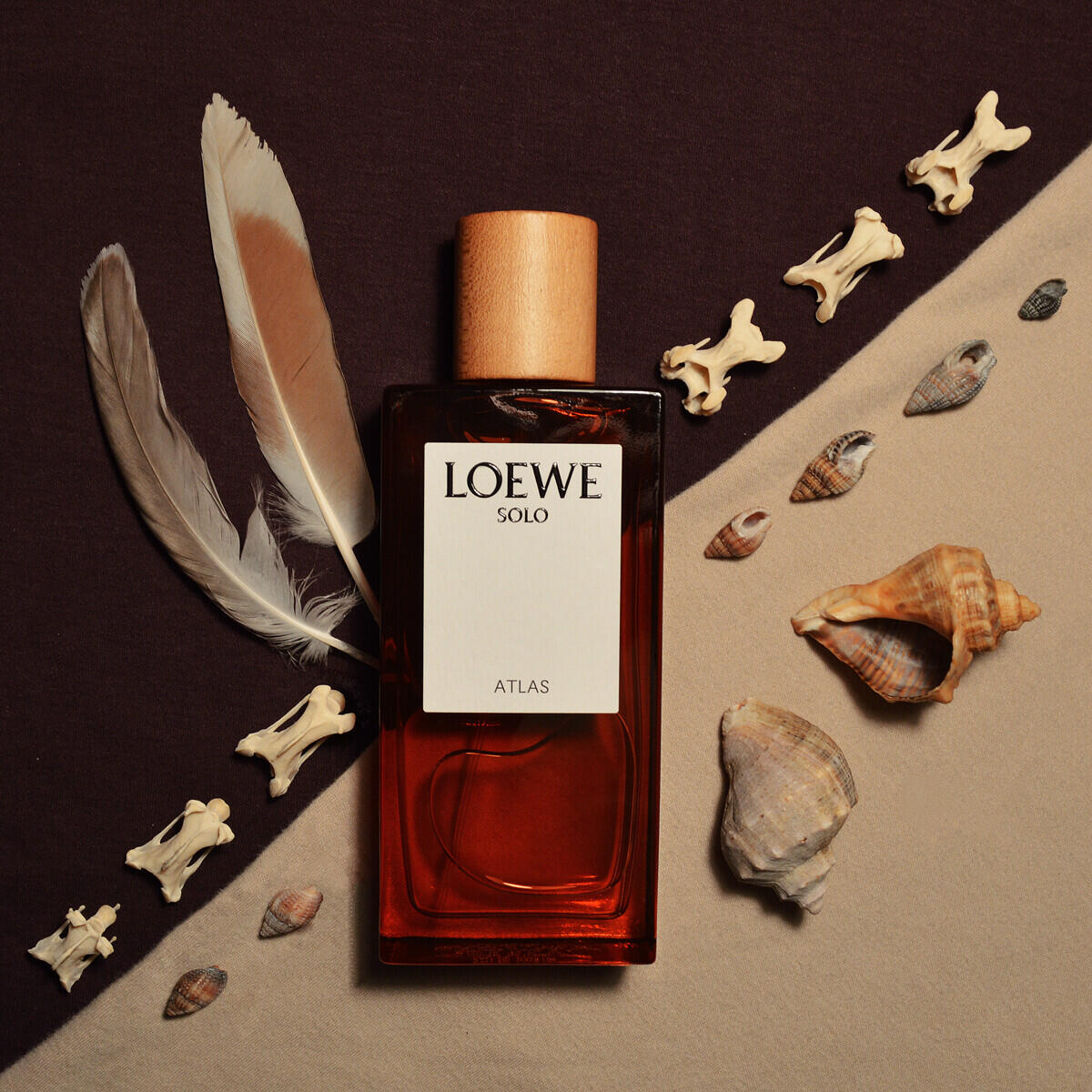 Solo Atlas Loewe cologne - a fragrance for men 2021