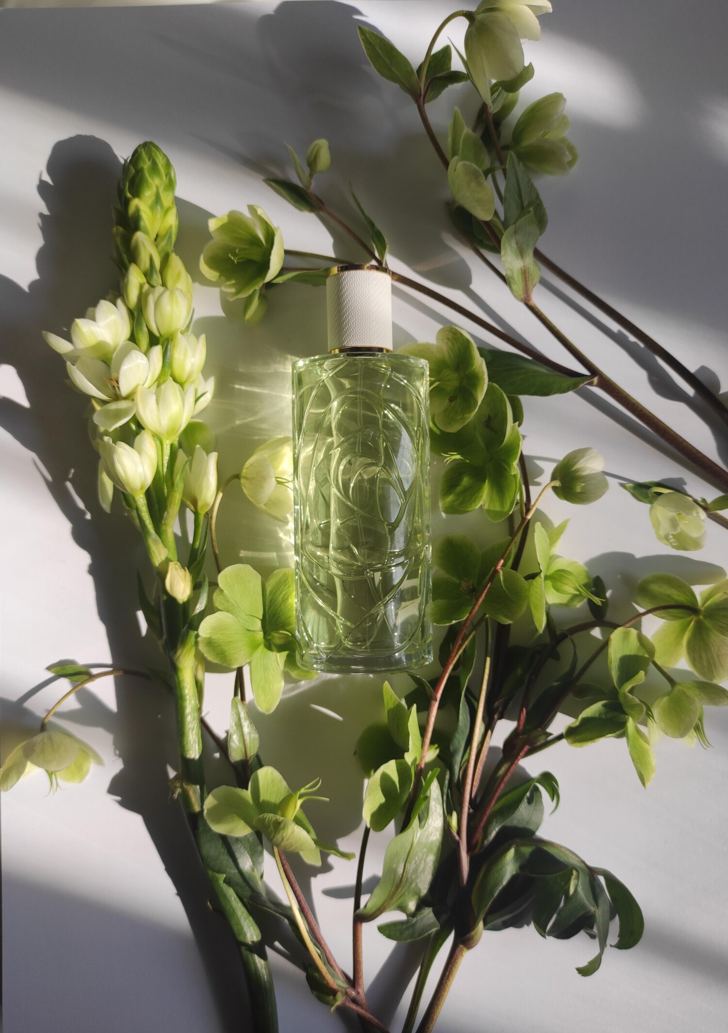 Ôff Now Lancôme perfume - a new fragrance for women and men 2025