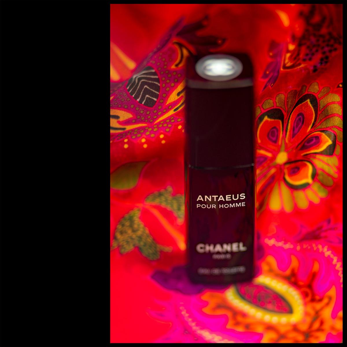 Antaeus Chanel cologne - a fragrance for men 1981