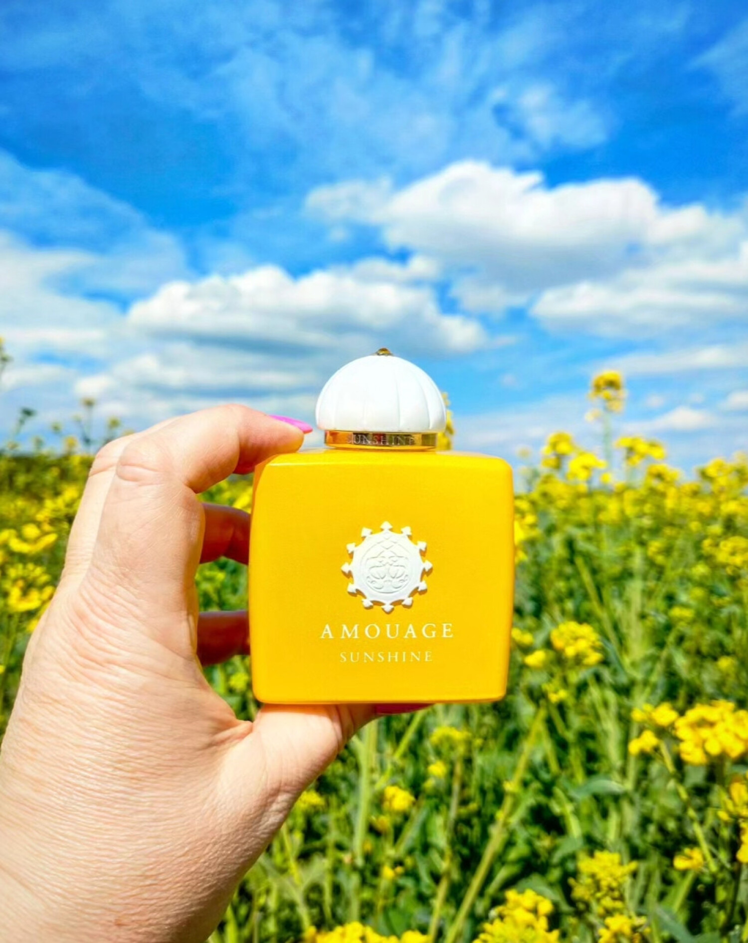 Sunshine Woman Amouage perfume - a fragrance for women 2014