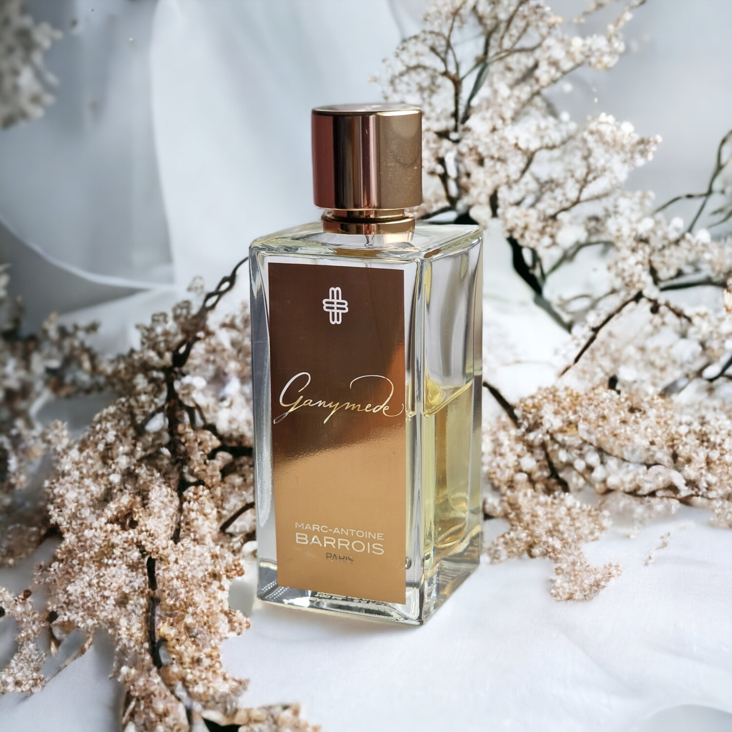 Ganymede Marc-Antoine Barrois perfume - a fragrance for women and men 2019
