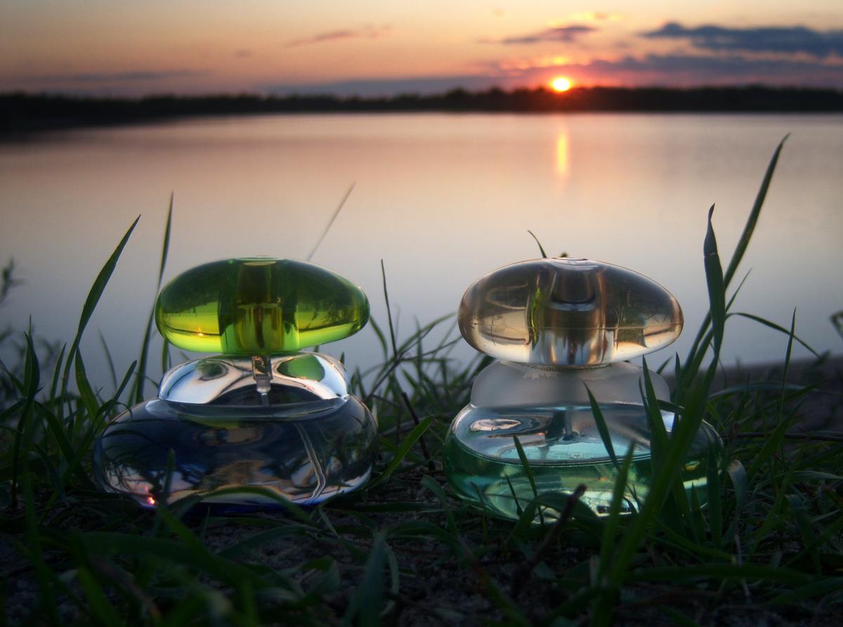Elvie Oriflame perfume - a fragrance for women