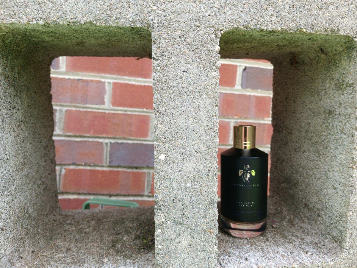 Black Gold Mancera cologne - a fragrance for men 2017