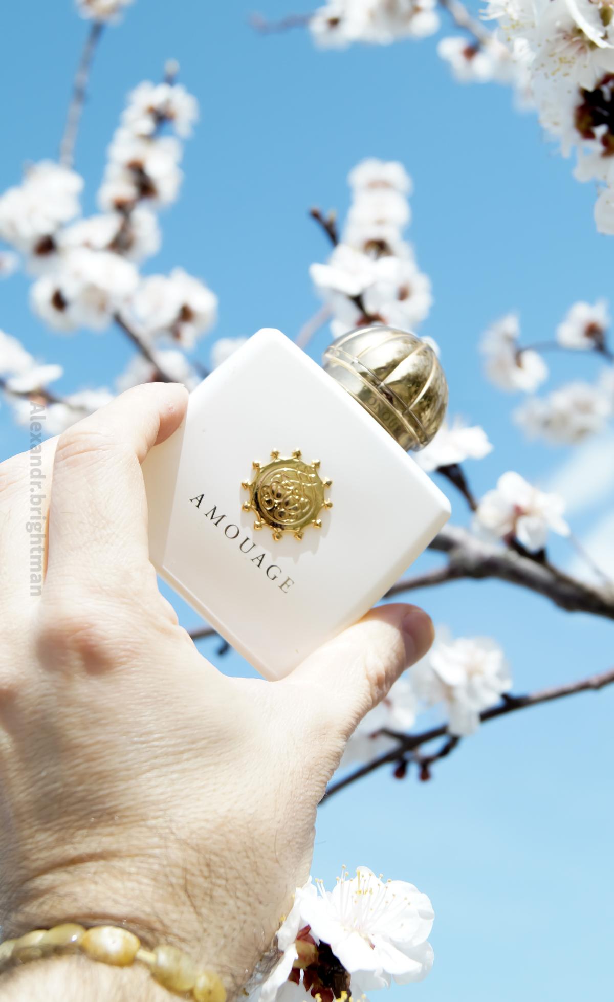 Honour Woman Amouage perfume - a fragrance for women 2011