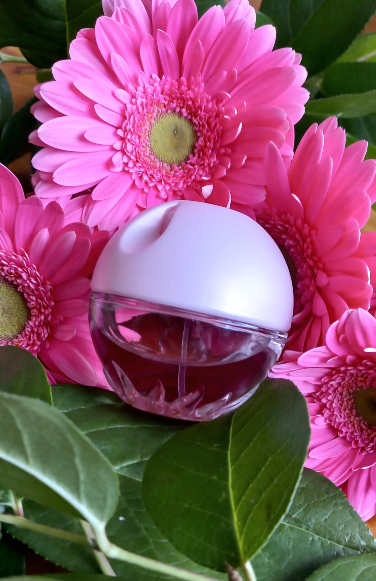 Incandessence Lotus Avon аромат — аромат для женщин 2019