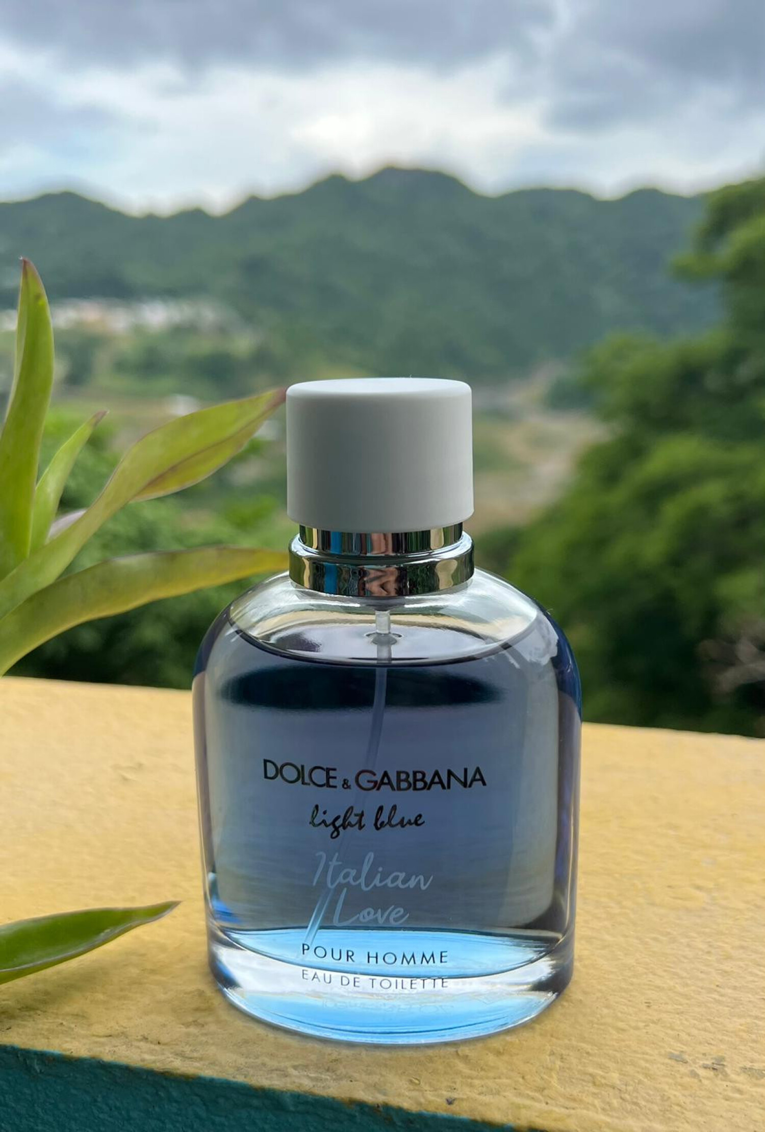 Light Blue pour Homme Italian Love Dolce&Gabbana cologne - a fragrance ...