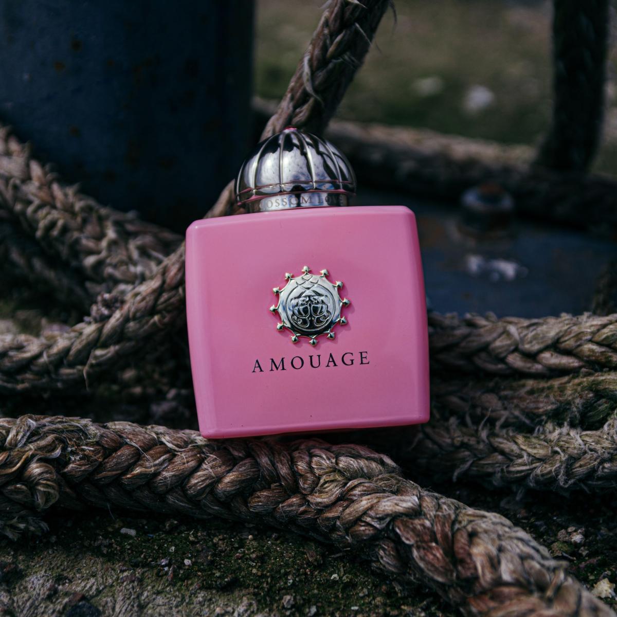 Blossom Love Amouage perfume - a fragrance for women 2017