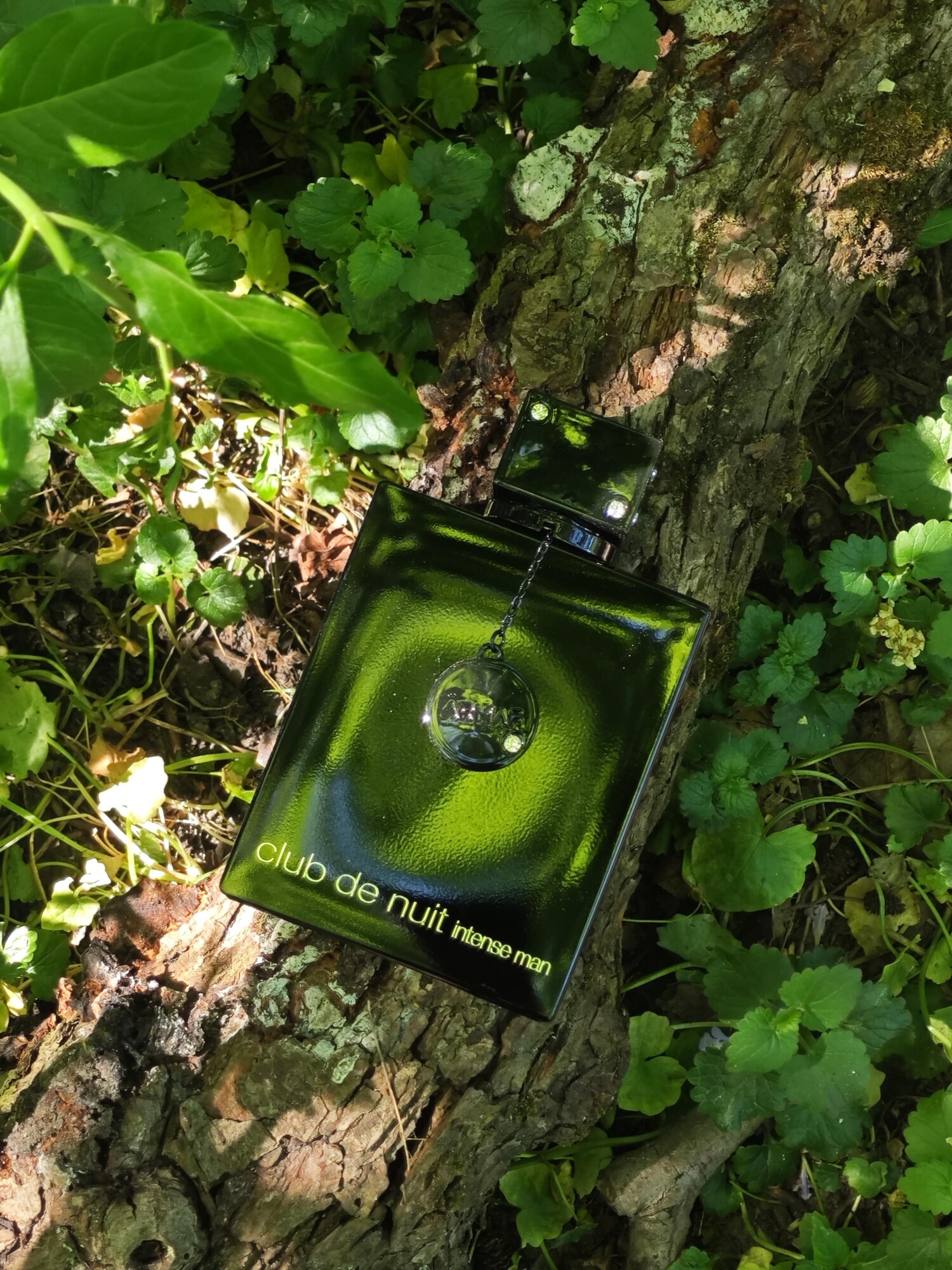 Club de Nuit Intense Man Armaf cologne - a fragrance for men 2015