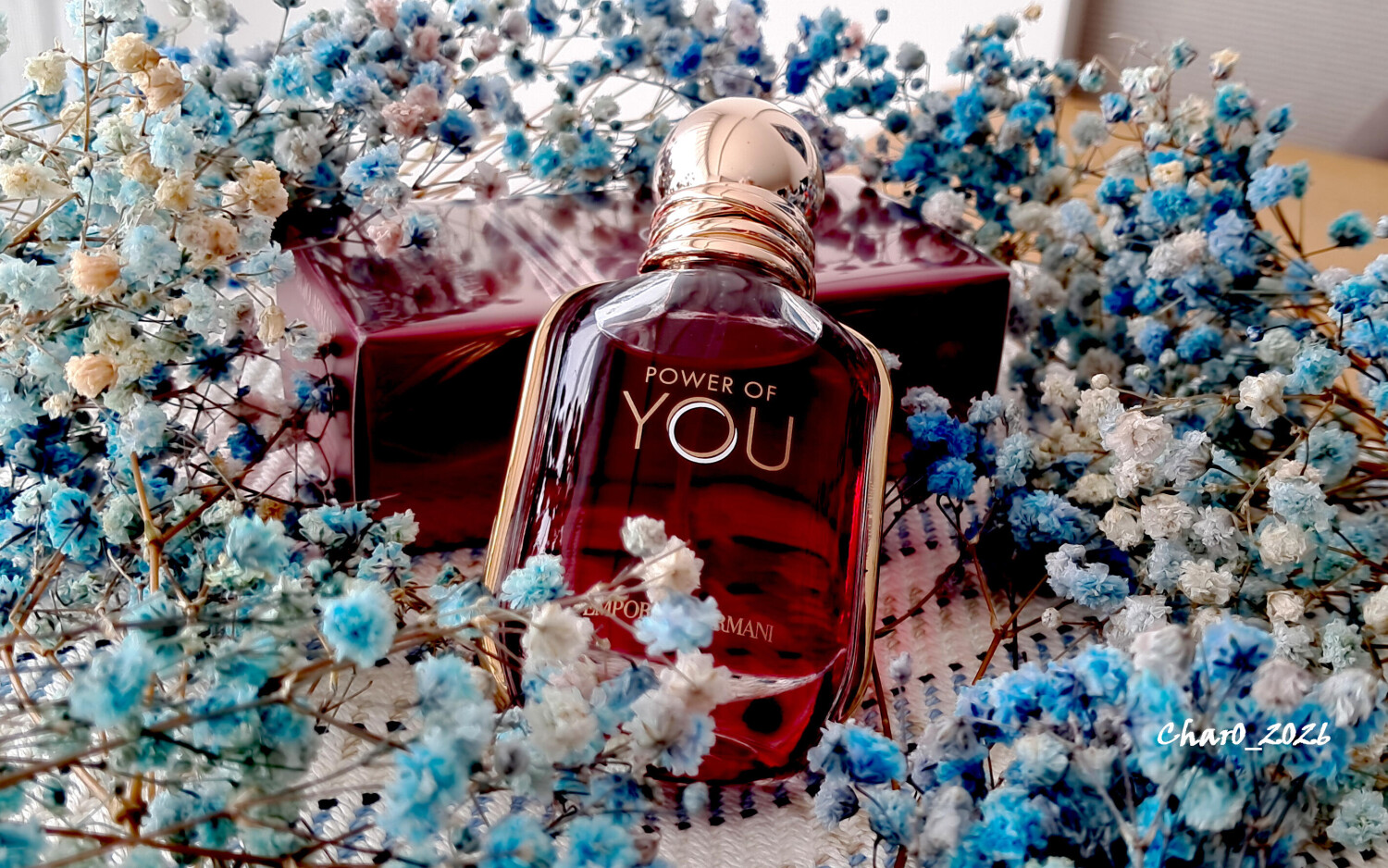 Power Of You Giorgio Armani perfume - a new fragrance for women 2026