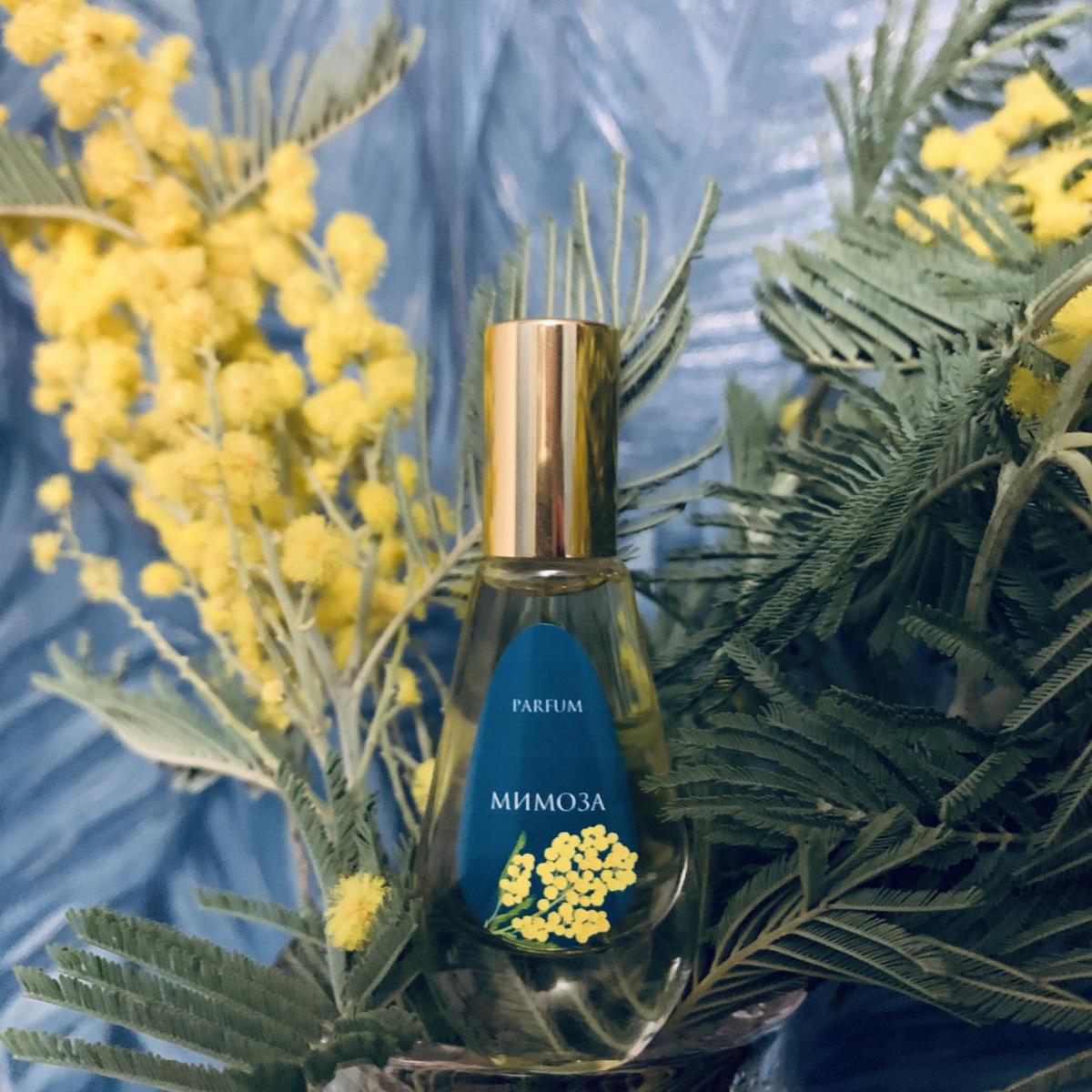 Mimoza Dilís Parfum perfume - a fragrance for women 2006