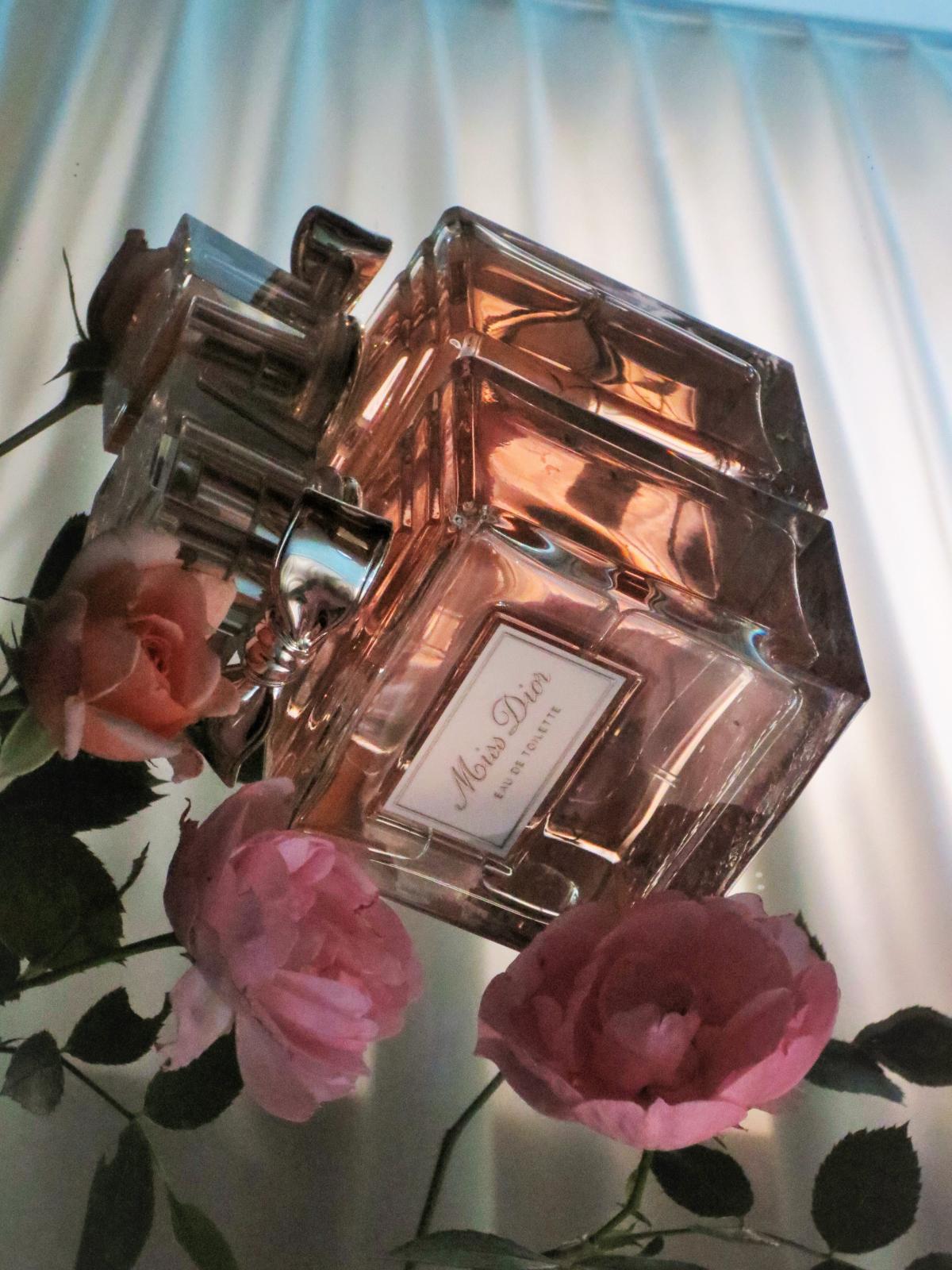 Miss Dior Eau de Toilette 2019 Dior perfume - a fragrance for women 2019