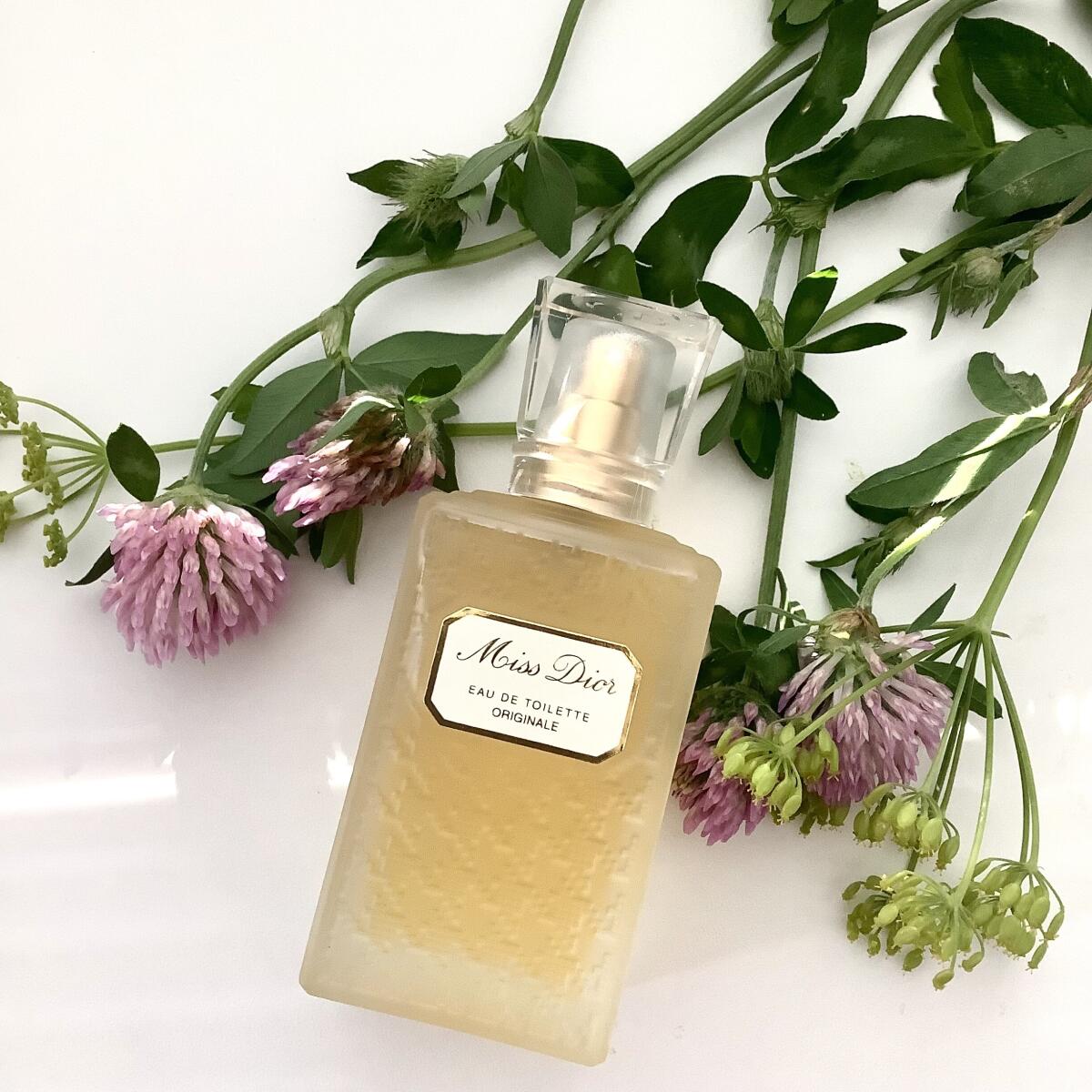 Miss Dior Eau de Toilette Originale Dior perfume - a fragrance for ...