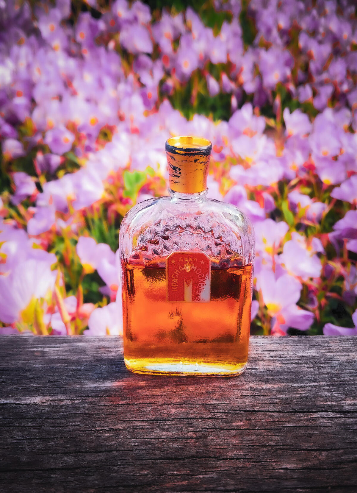 Красная Москва (Red Moscow) Новая Заря (The New Dawn) perfume - a ...