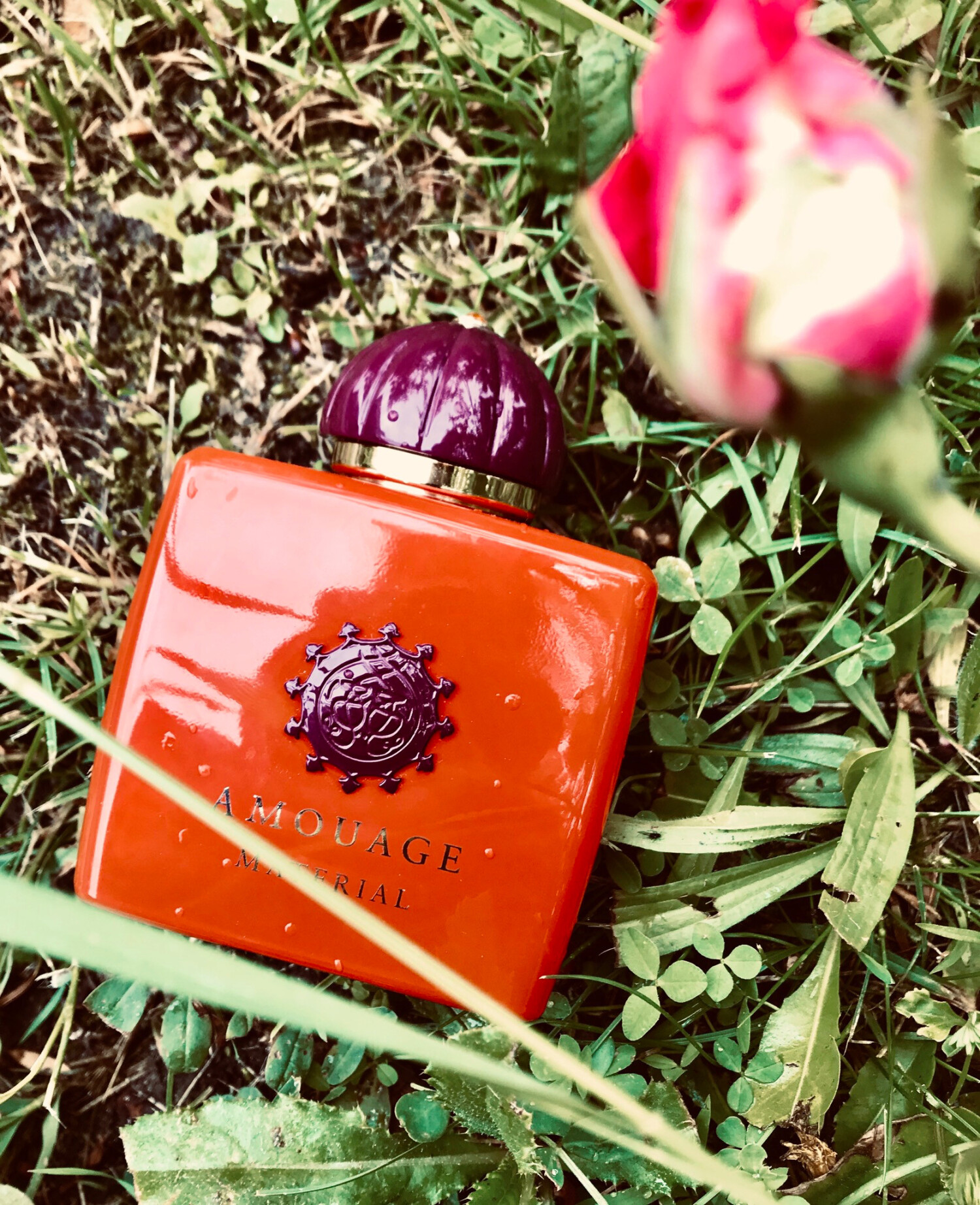 Material Amouage perfume - a fragrance for women and men 2021