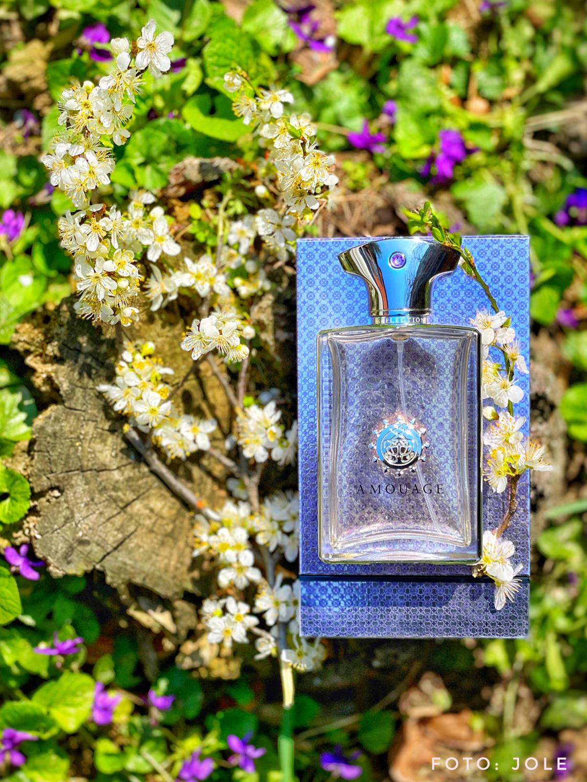 Reflection Man Amouage cologne - a fragrance for men 2006