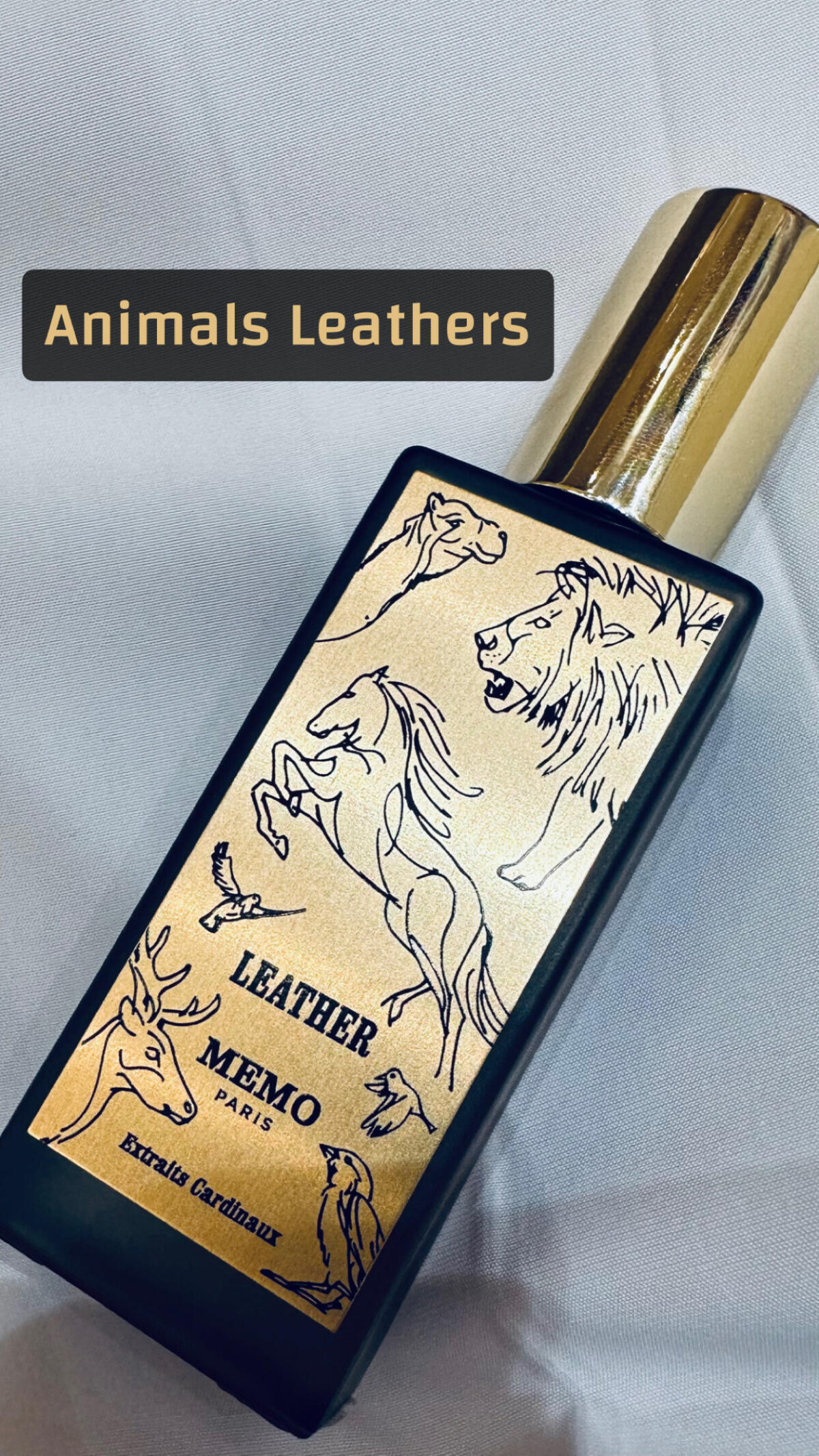 Leather Memo Paris perfume - a new fragrance for women and men 2025