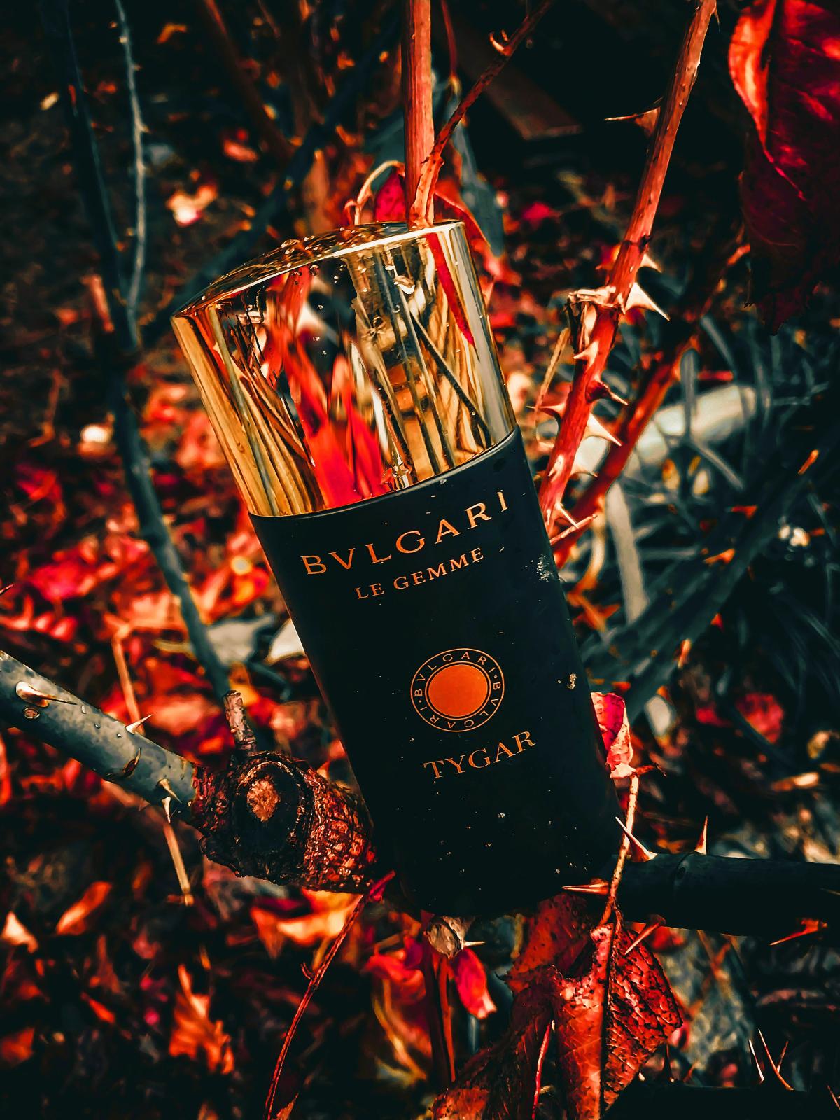 Tygar Bvlgari cologne - a fragrance for men 2016