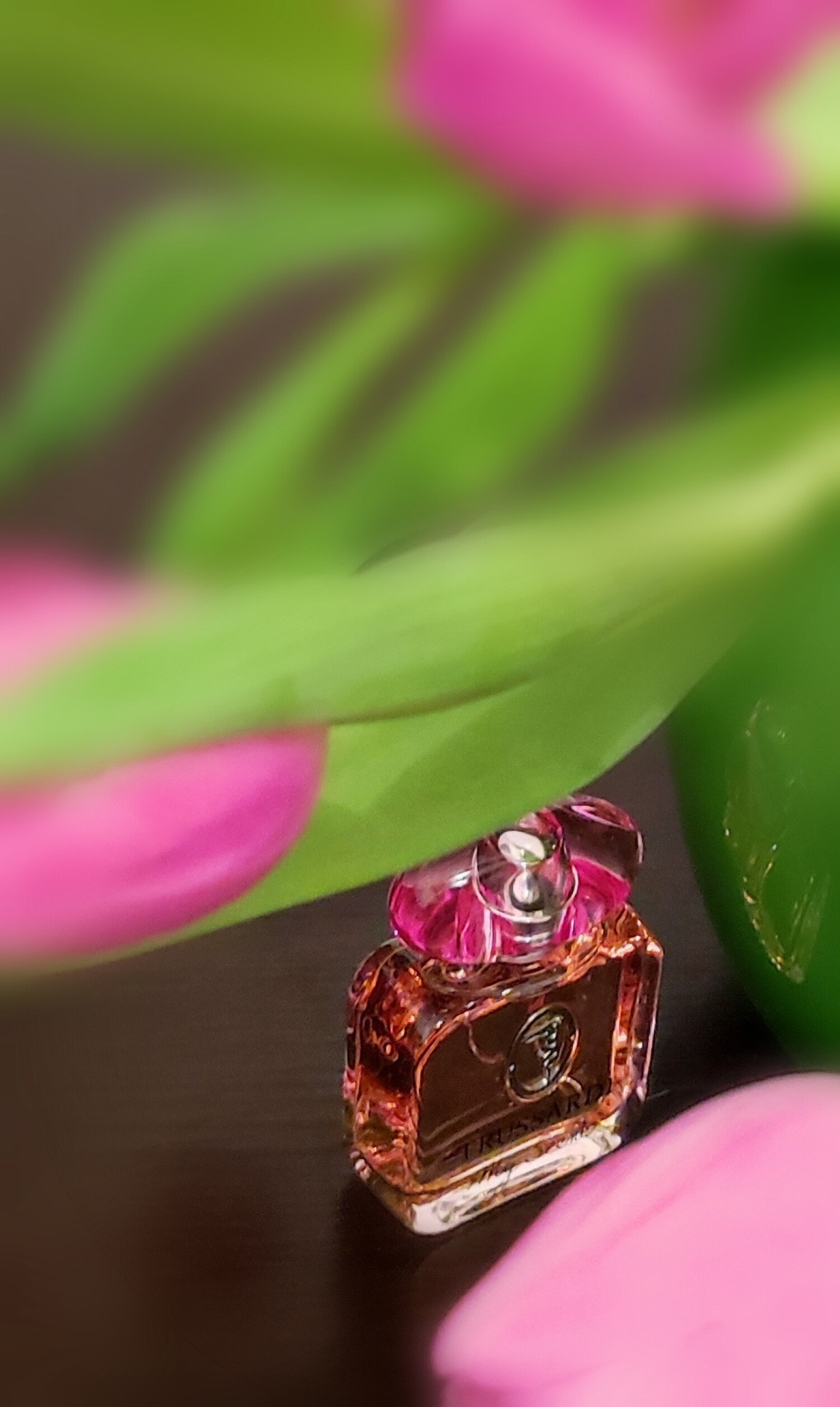My Scent Trussardi fragancia - una fragancia para Mujeres 2015