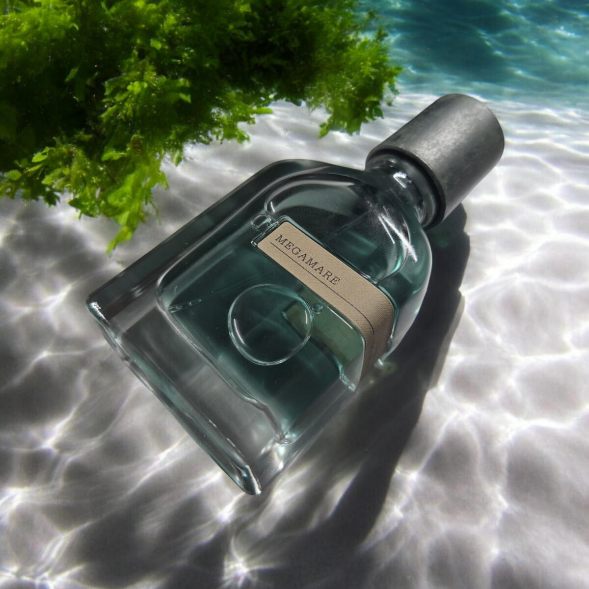 Megamare Orto Parisi fragancia - una fragancia para Hombres y Mujeres 2019