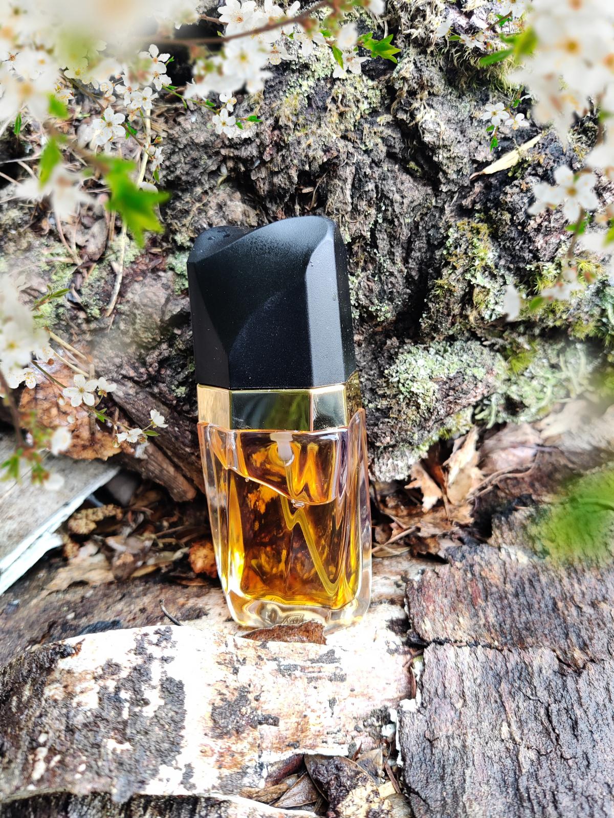 Knowing Estée Lauder perfume - a fragrance for women 1988