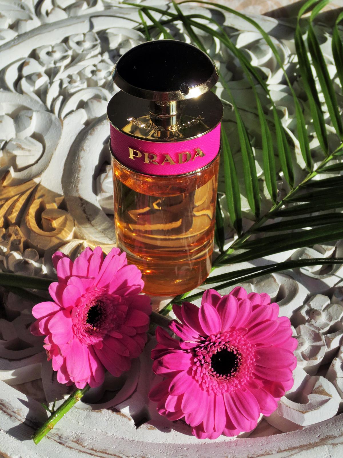 Prada Candy Prada perfume - a fragrance for women 2011