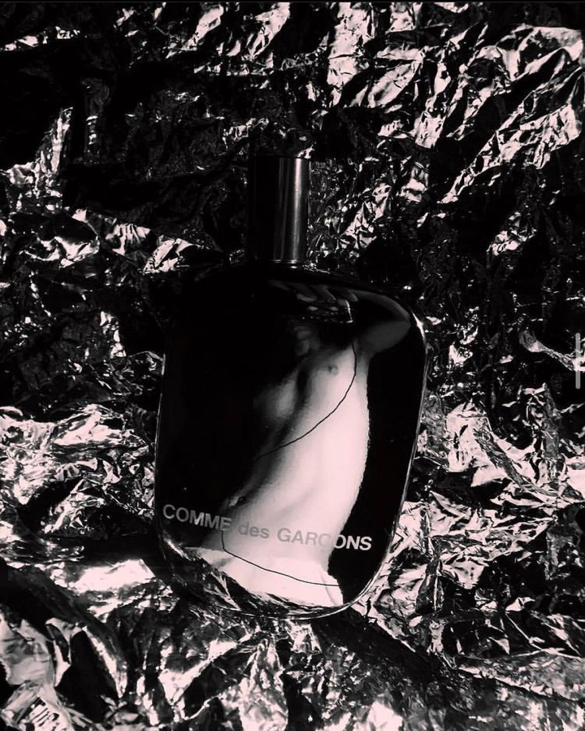Comme des Garcons 2 Comme des Garcons perfume - a fragrance for women ...