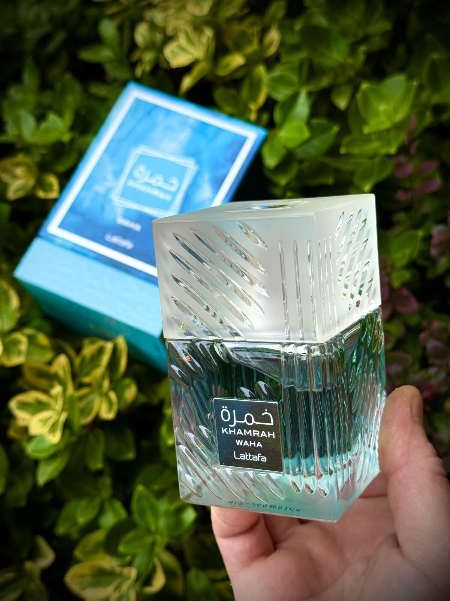 Khamrah Waha Lattafa Perfumes parfum - un nouveau parfum pour homme et ...