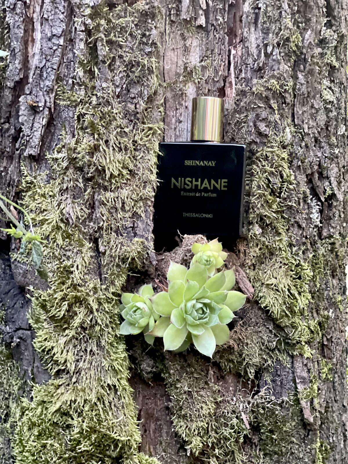 Shinanay Nishane perfume - a new fragrance for women and men 2024