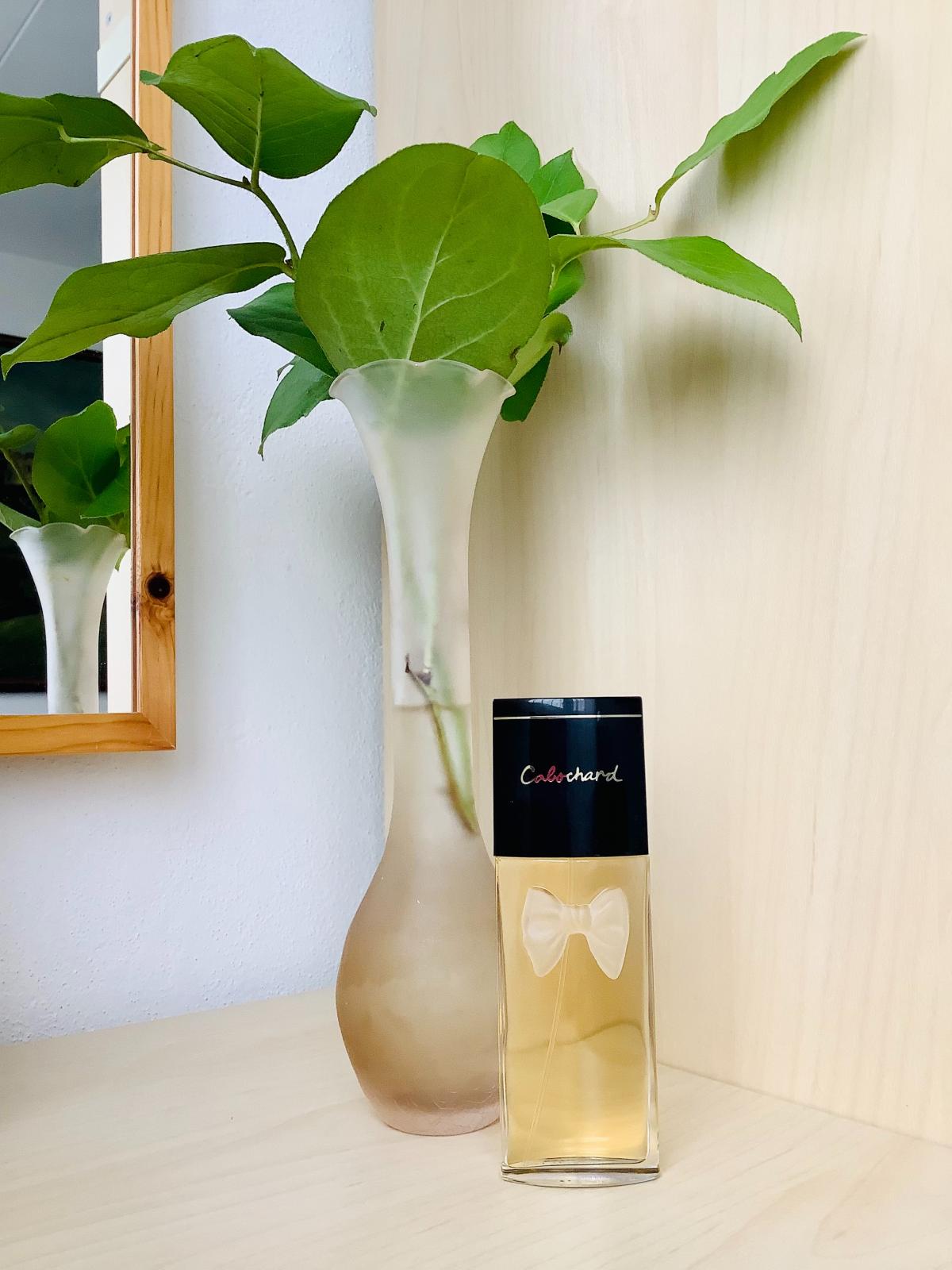 Cabochard Grès perfume - a fragrance for women 1959