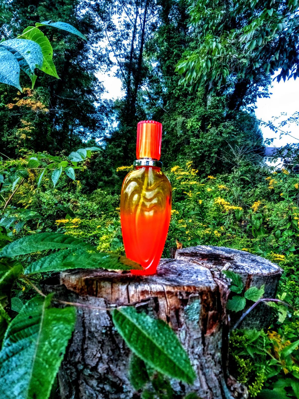 Sunset Heat Escada perfume - a fragrance for women 2007