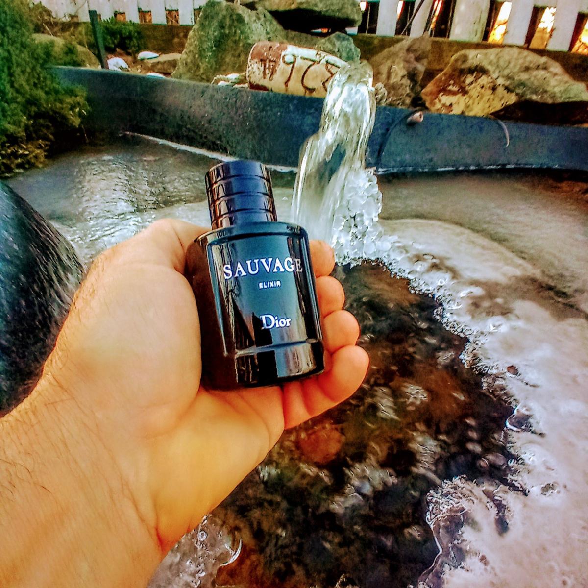 Sauvage Elixir Dior cologne - a new fragrance for men 2021