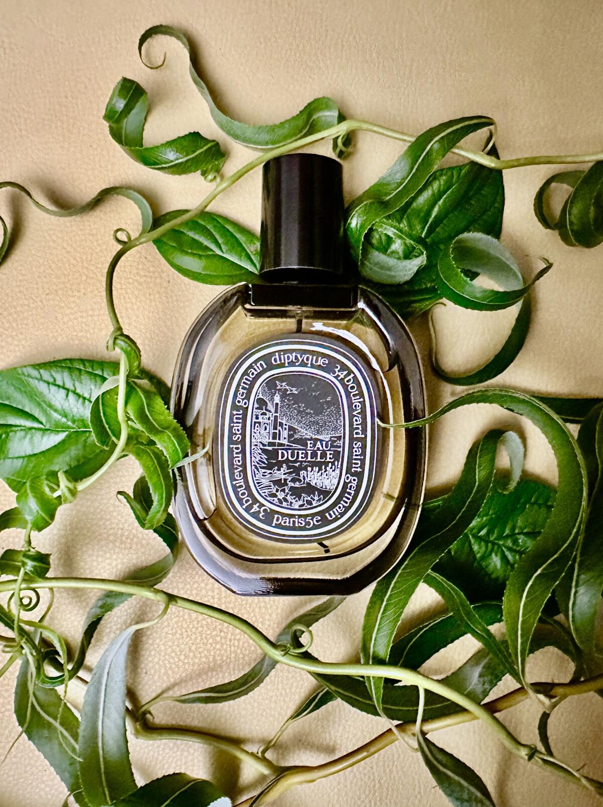 Eau Duelle Eau de Parfum Diptyque perfume - a fragrance for women and ...