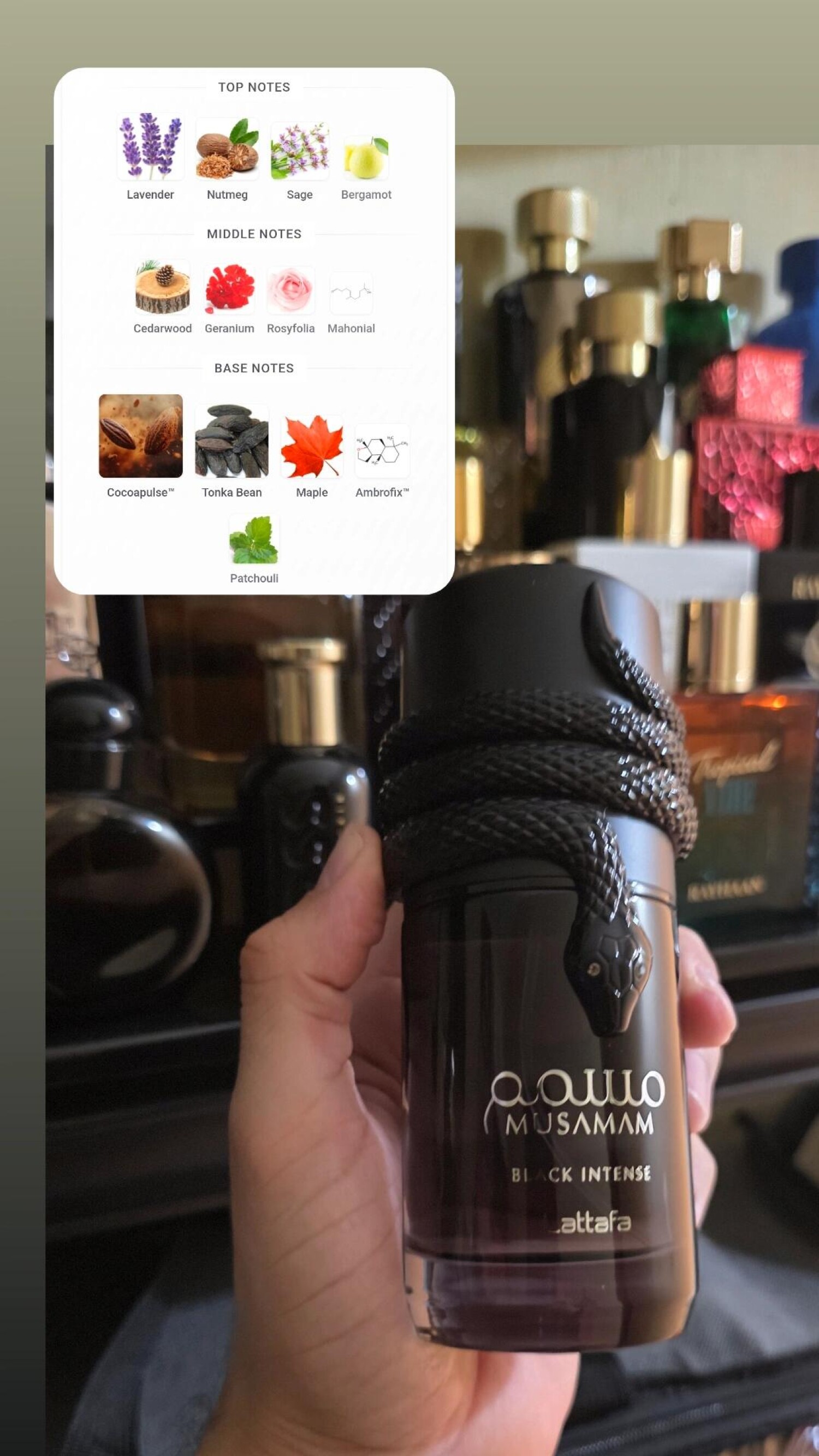 Musamam Black Intense Lattafa Perfumes perfume - a new fragrance for ...