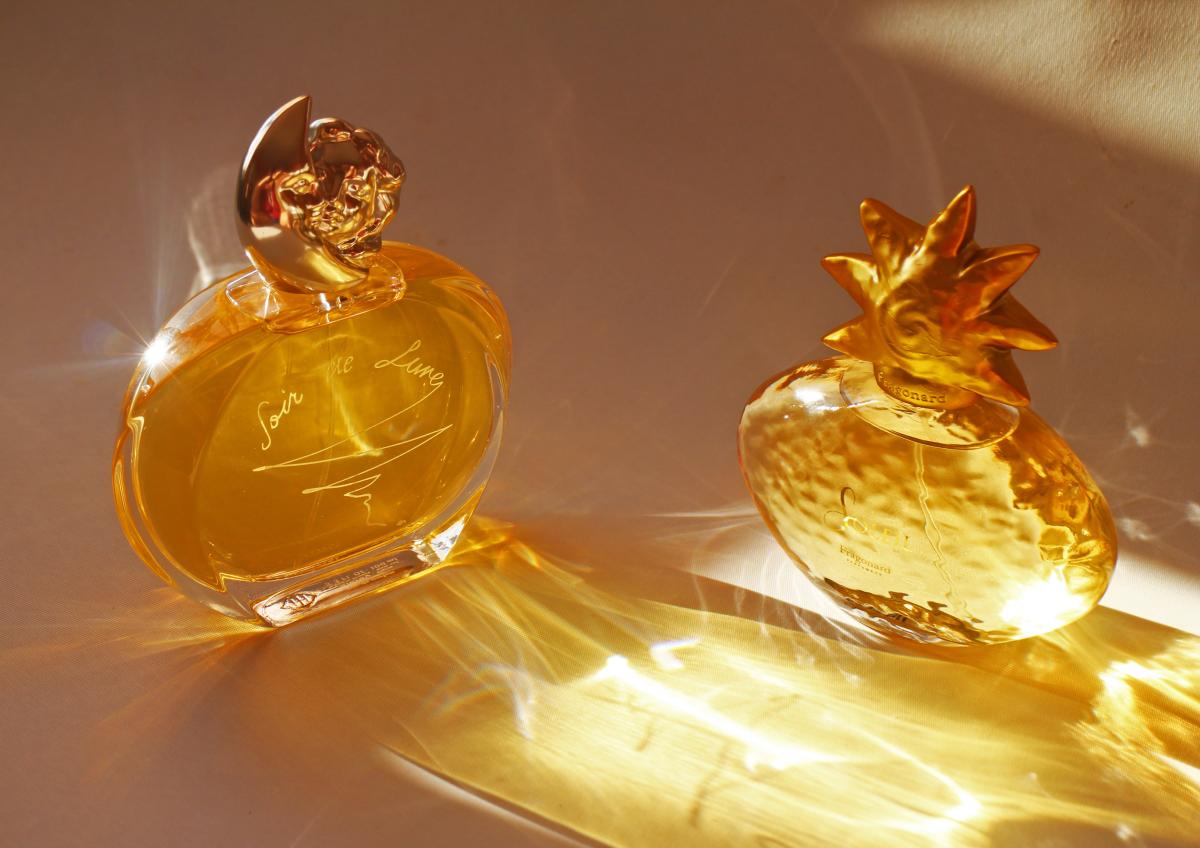 Soir de Lune Sisley άρωμα - ένα άρωμα για γυναίκες 2006