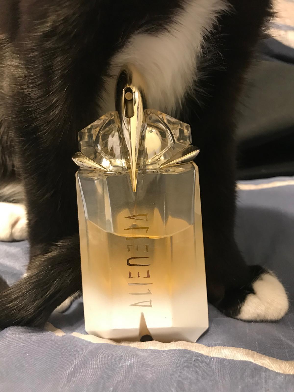 Alien Eau Sublime Mugler perfume - a fragrance for women 2017