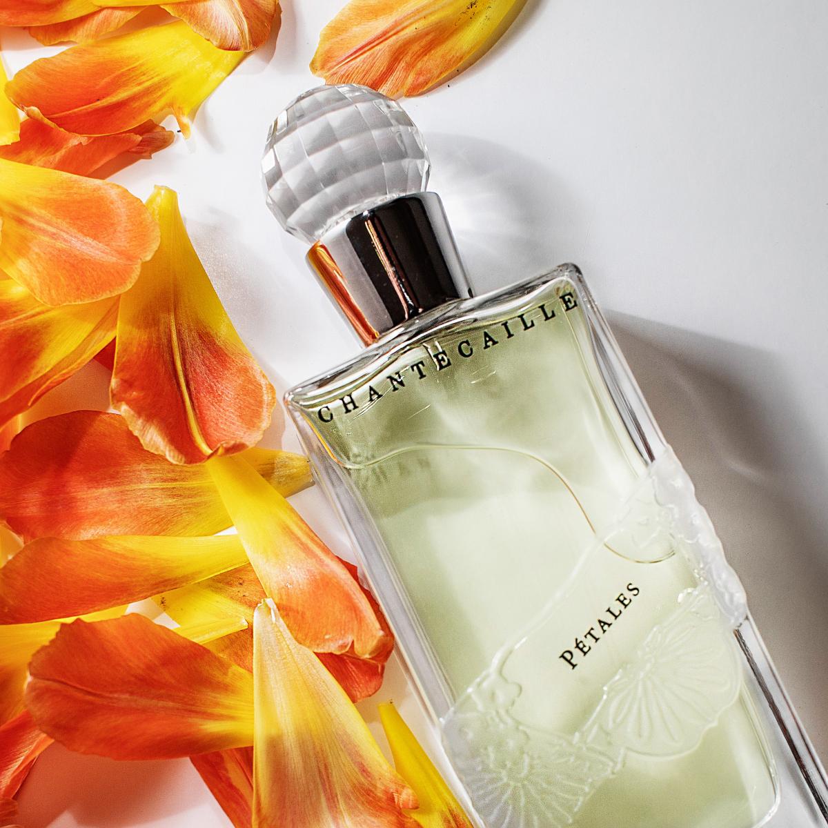 Petales Chantecaille perfume - a fragrance for women 2010