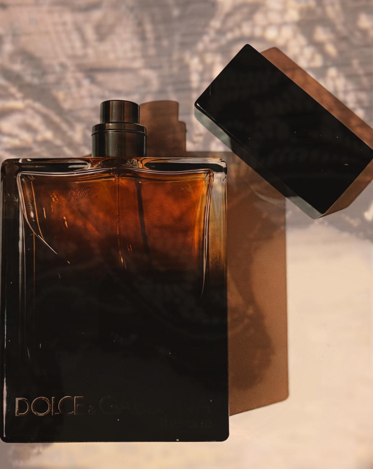 The One for Men Eau de Parfum Dolce&Gabbana cologne - a fragrance for ...