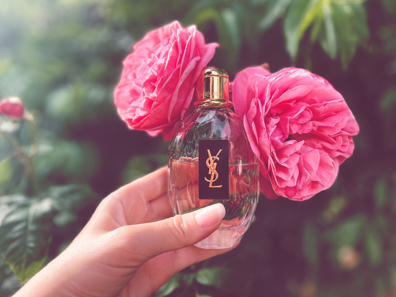 Parisienne Yves Saint Laurent perfume - a fragrance for women 2009