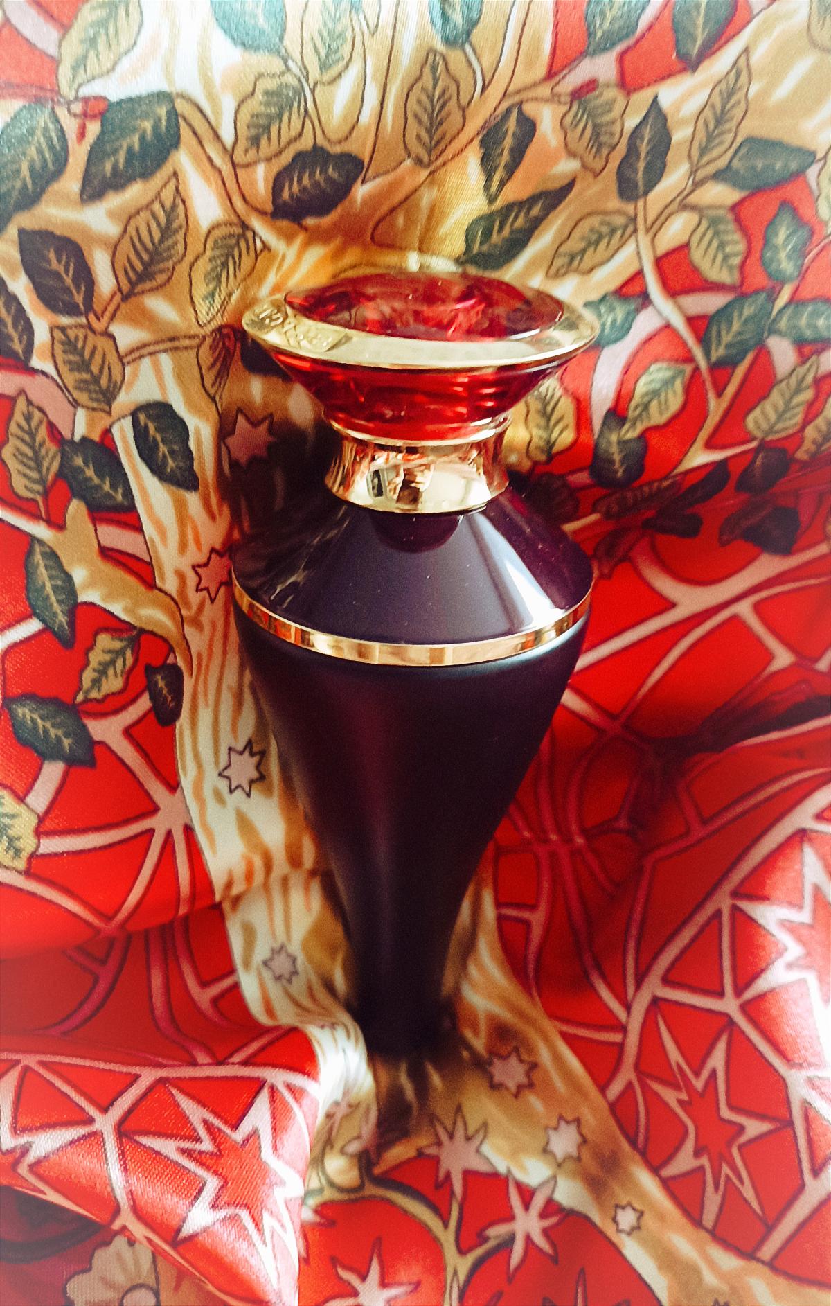 Rubinia Bvlgari fragancia - una fragancia para Mujeres 2018