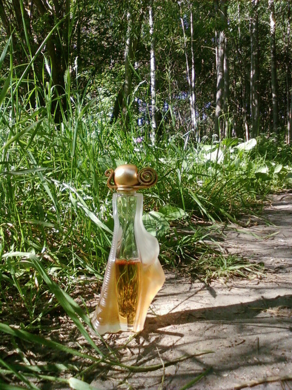 Organza Indécence Givenchy perfume - a fragrance for women 1999