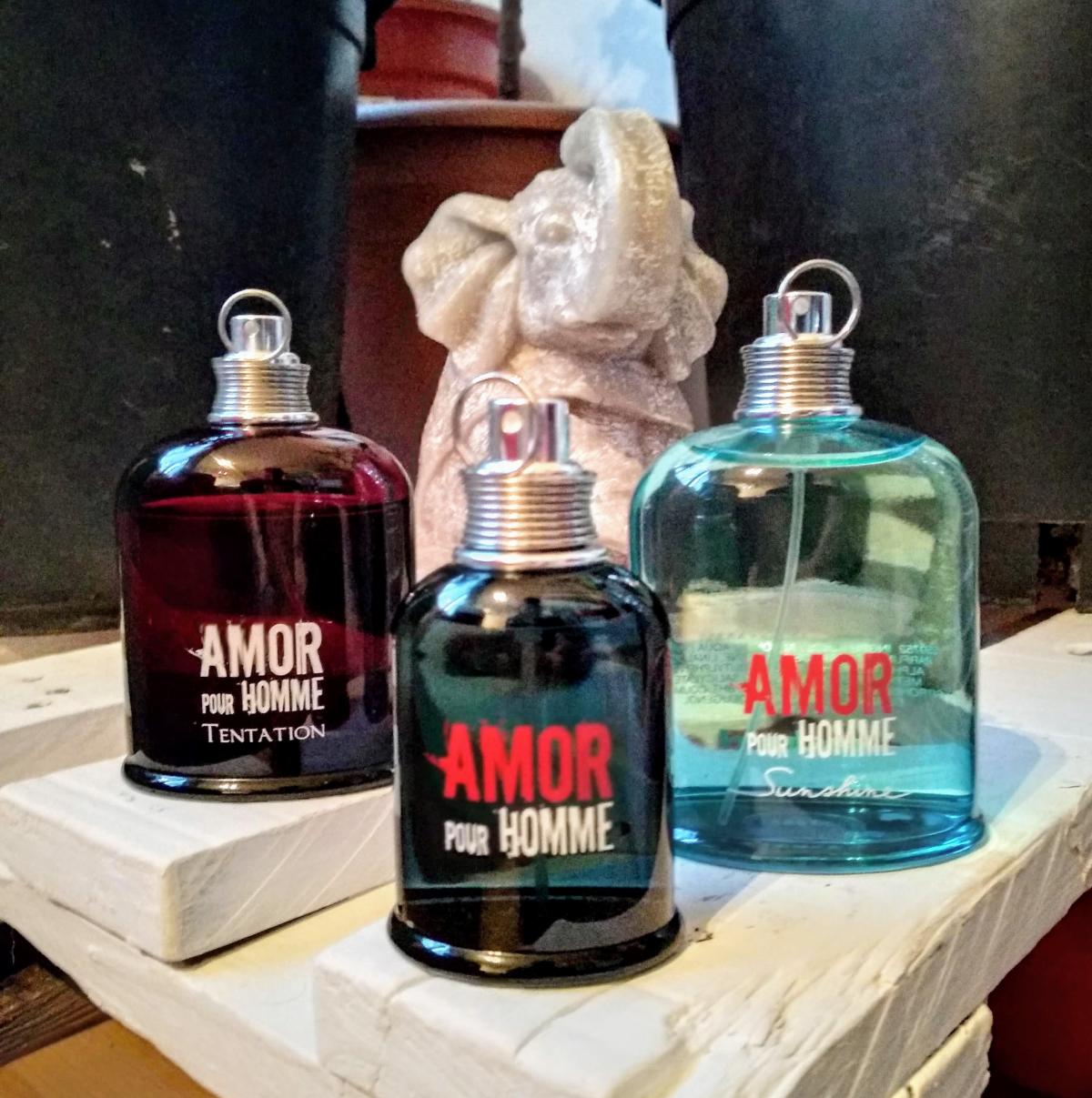 Amor pour Homme Cacharel cologne - a fragrance for men 2006